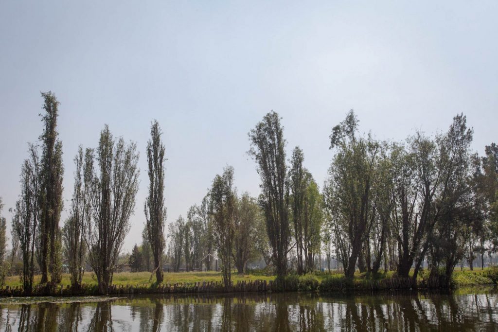 De la chinampa a tu mesa