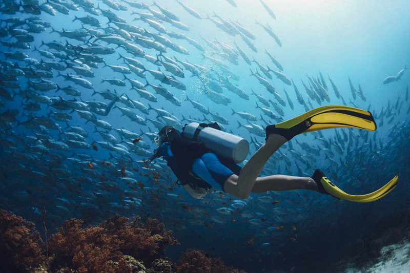 Buceo | Revista Travesías | Inspiración para viajeros