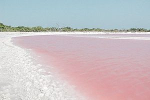 Las Coloradas: La secreta playa rosa de Yucatán