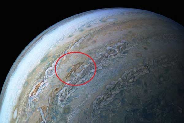 Viajes siderales: delfines en Júpiter