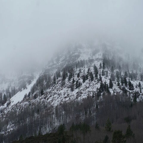 Snow in Mexico... It Does Exist!