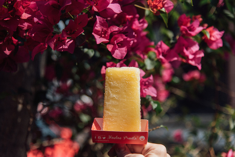 The Best Ice Cream and Popsicle Shops in Mexico City