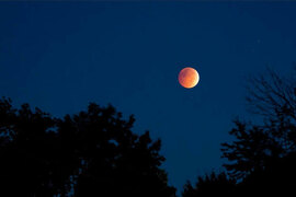 La luna dorada que iluminará el viernes 13 (y no se verá igual hasta 2049)