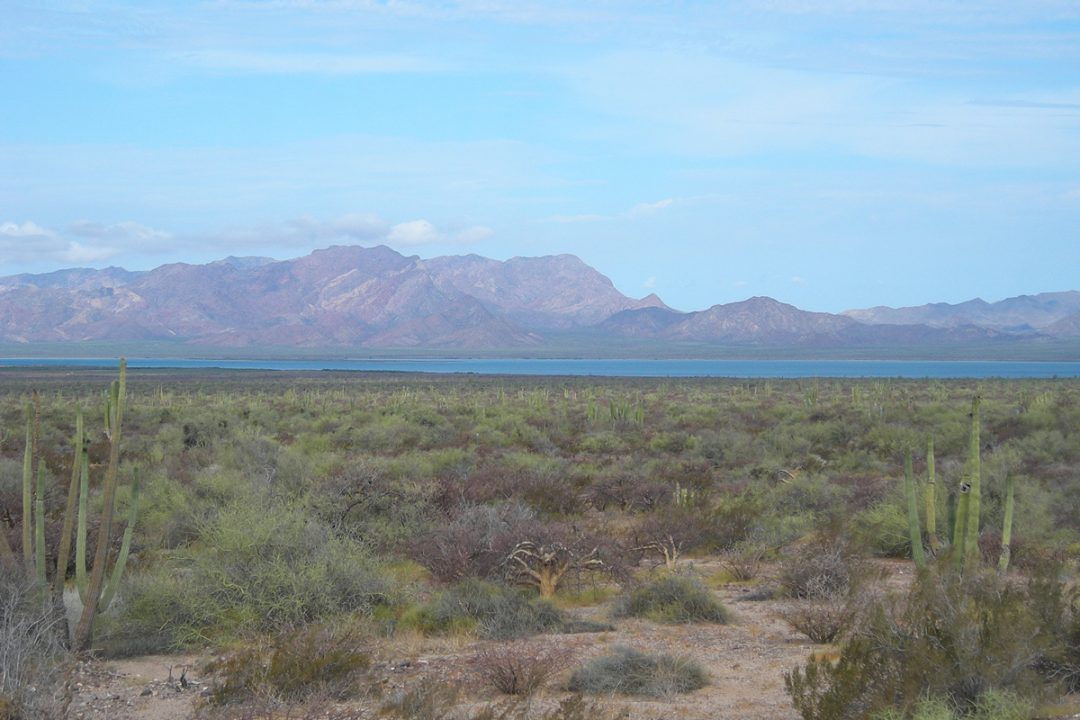 Isla Tiburón en el Mar de Cortés, la más grande de México
