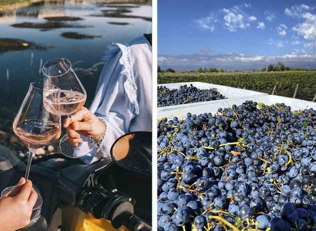 Fotos: cortesía Casa Petrini