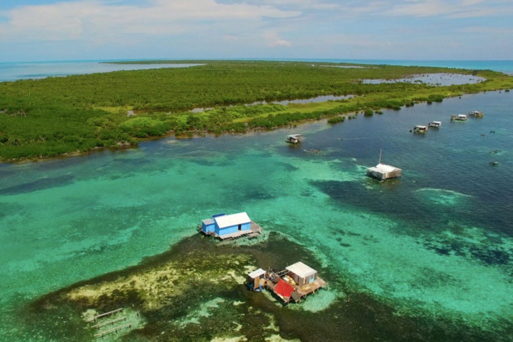Descubrieron una aldea maya rodeada de cenotes en Mahahual