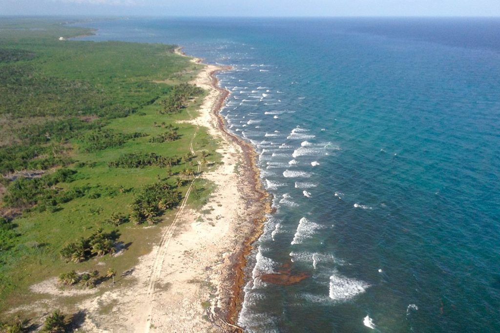 Descubrieron una aldea maya rodeada de cenotes en Mahahual