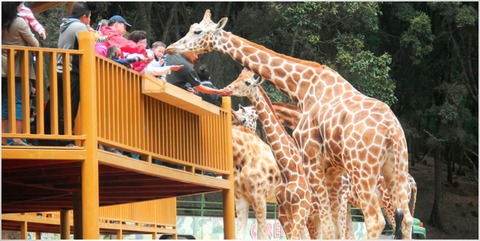 Bioparque Estrella lanza promociones para poder alimentar a sus animales