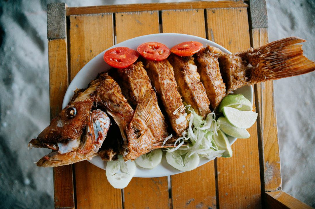 Guía práctica de Celestún, Yucatán - Revista Travesías