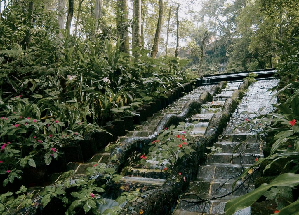 Xalapa, Veracruz | Guía práctica | Revista Travesías