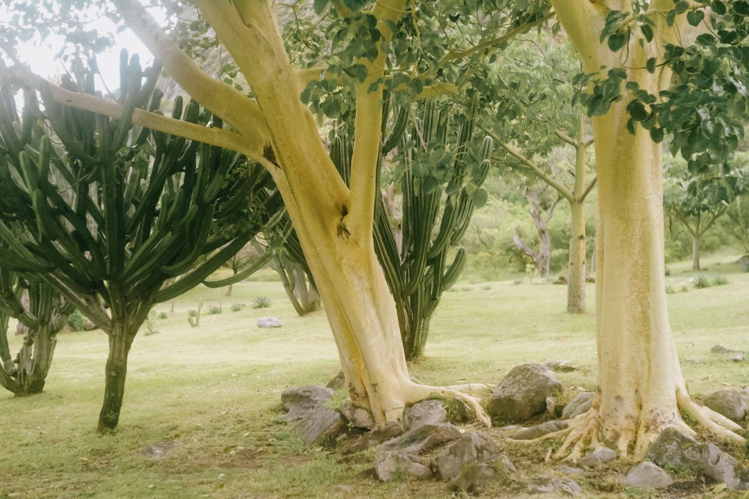 Chalcatzingo, Morelos, un sitio arqueológico único y poco conocido