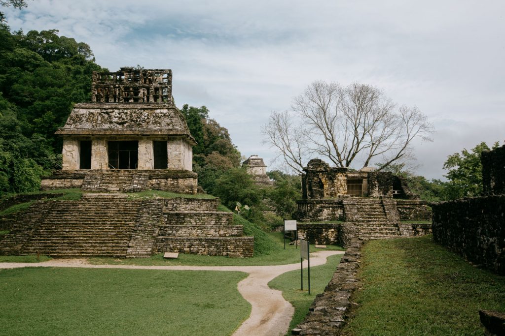 Palenque, Chiapas. Patrimonios culturales de México │México x Travesías