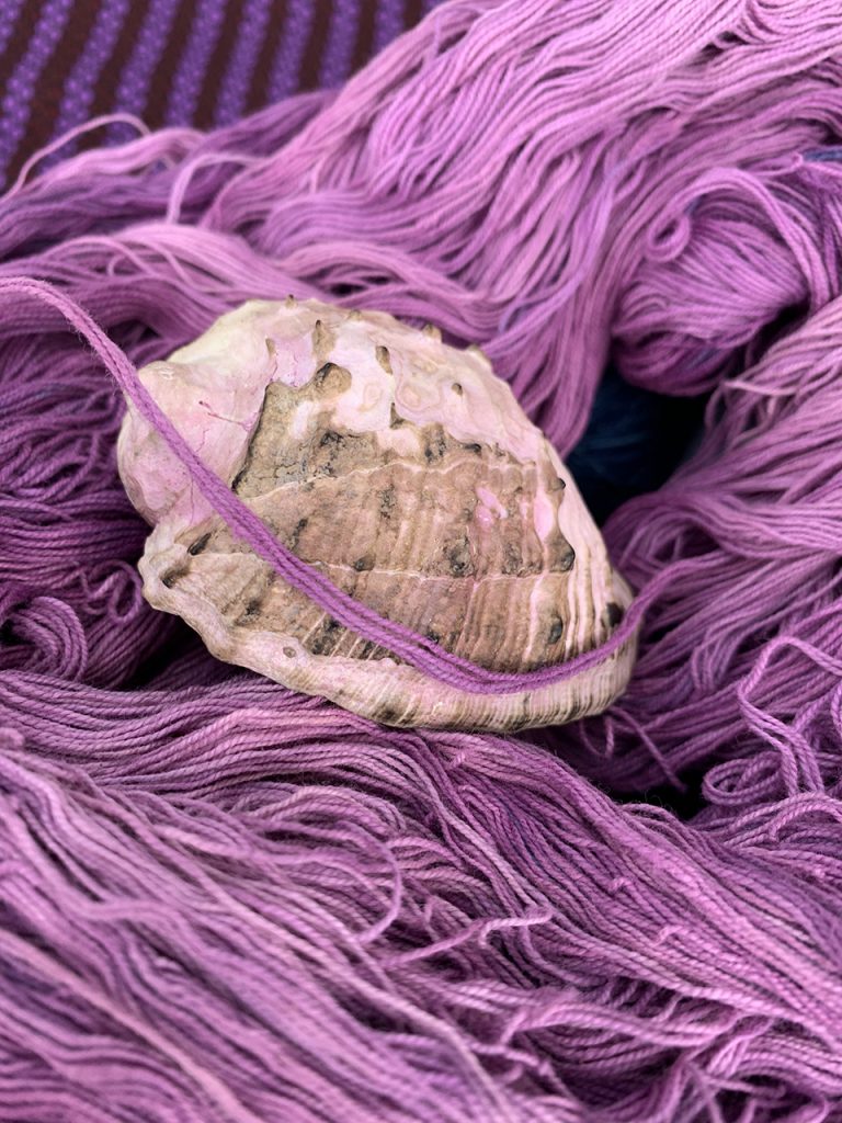 Tejiendo México: el caracol púrpura y la seda criolla