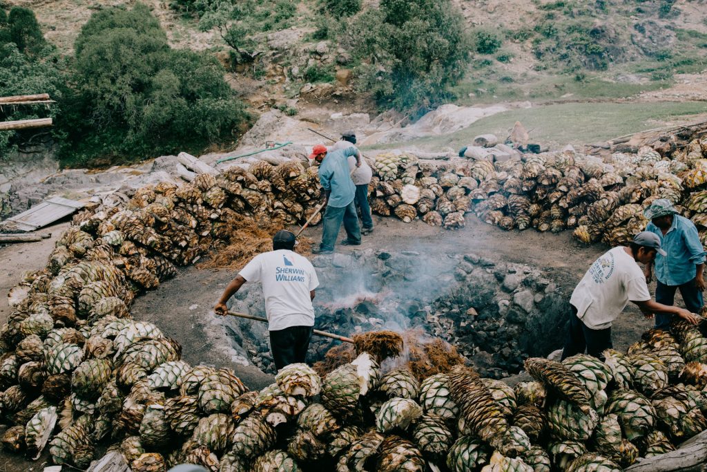 Mezcal en Oaxaca: los palenques y el culto a Mayahuel