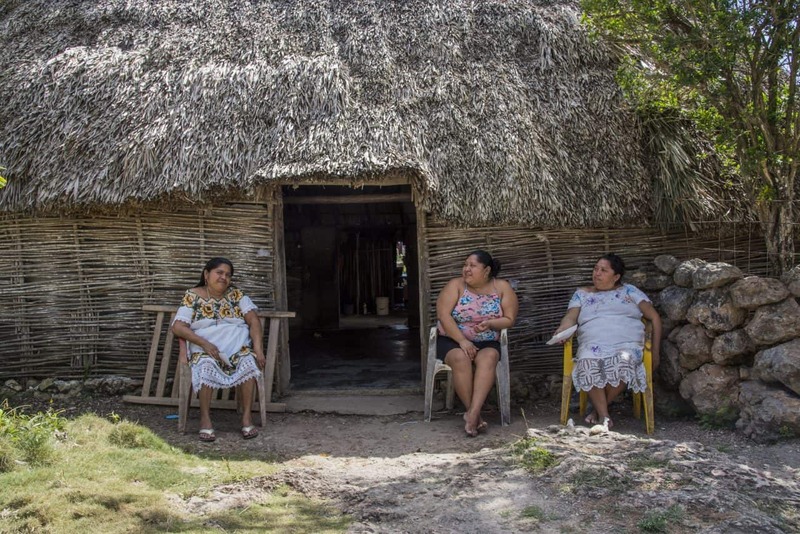 El loto y el escarabajo maquech: Dos románticas leyendas mayas