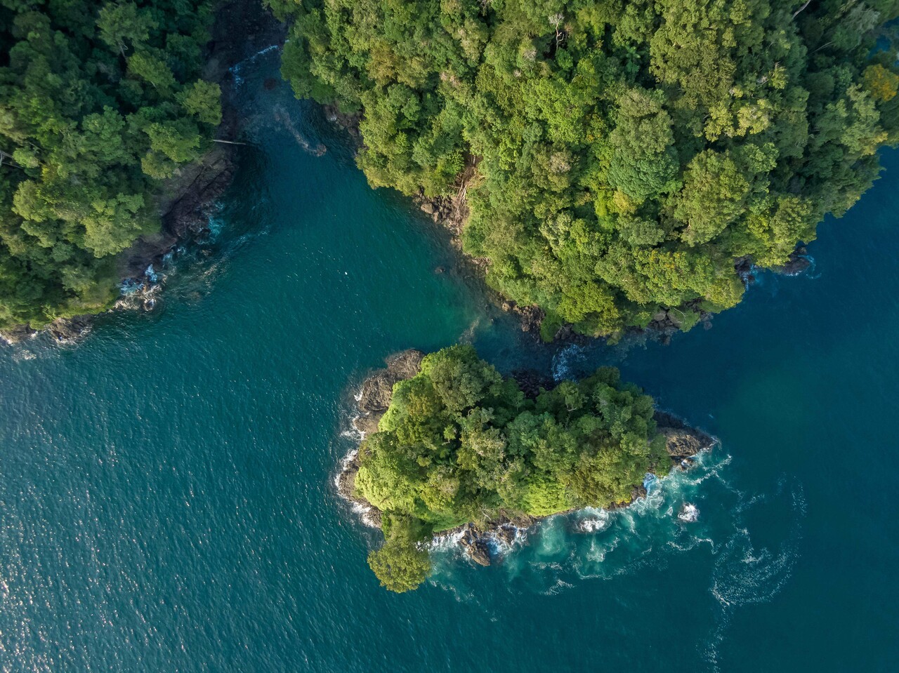 Pacífico de mar y selva, el edén colombiano
