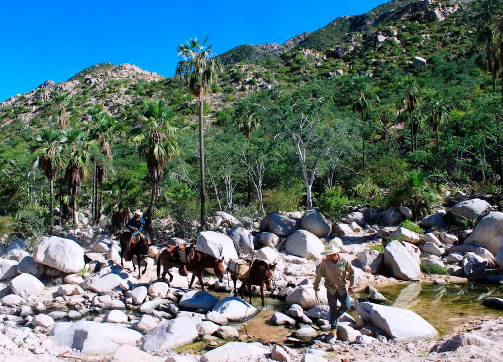 Tres ranchos increíbles en Baja California Sur donde pasar unas ...