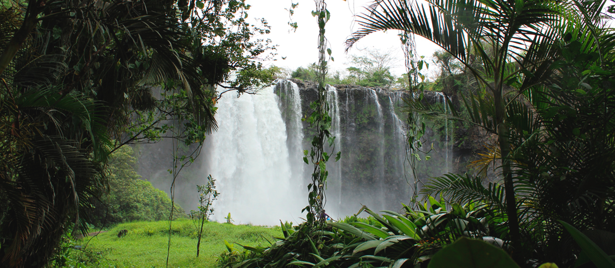 3 reservas naturales en México que seguramente no conocías