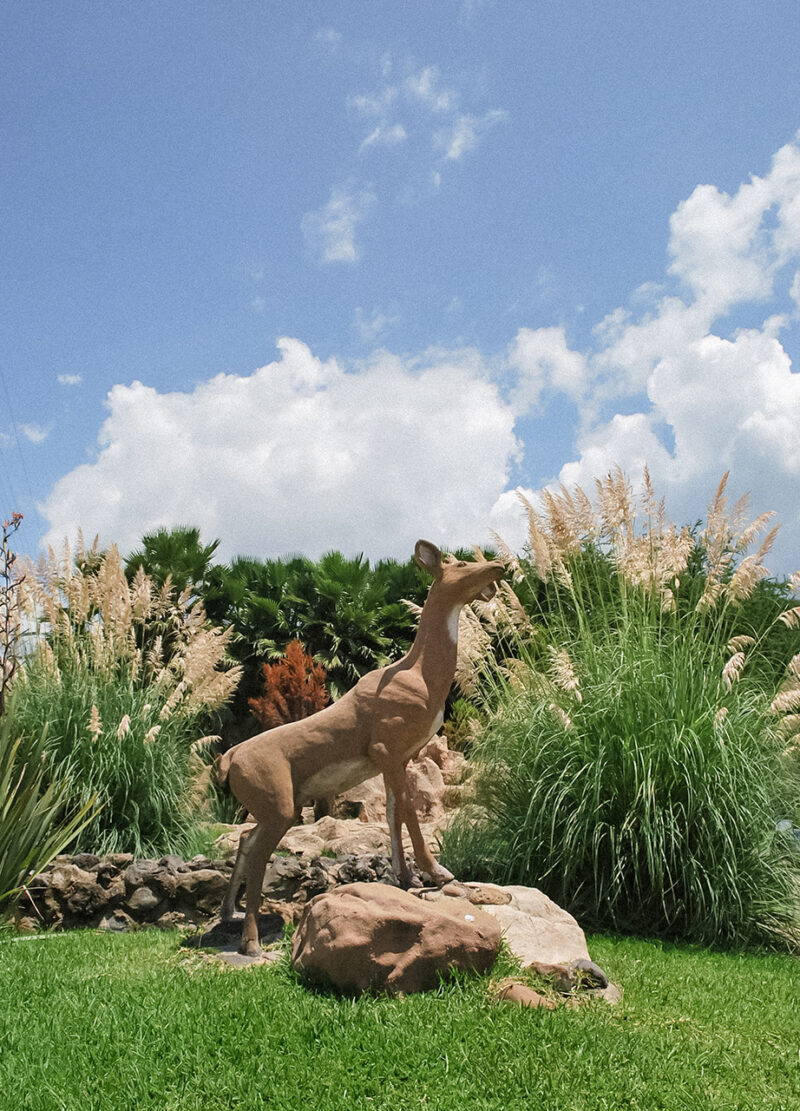 Escapada a Mascota, pueblo mágico en Jalisco