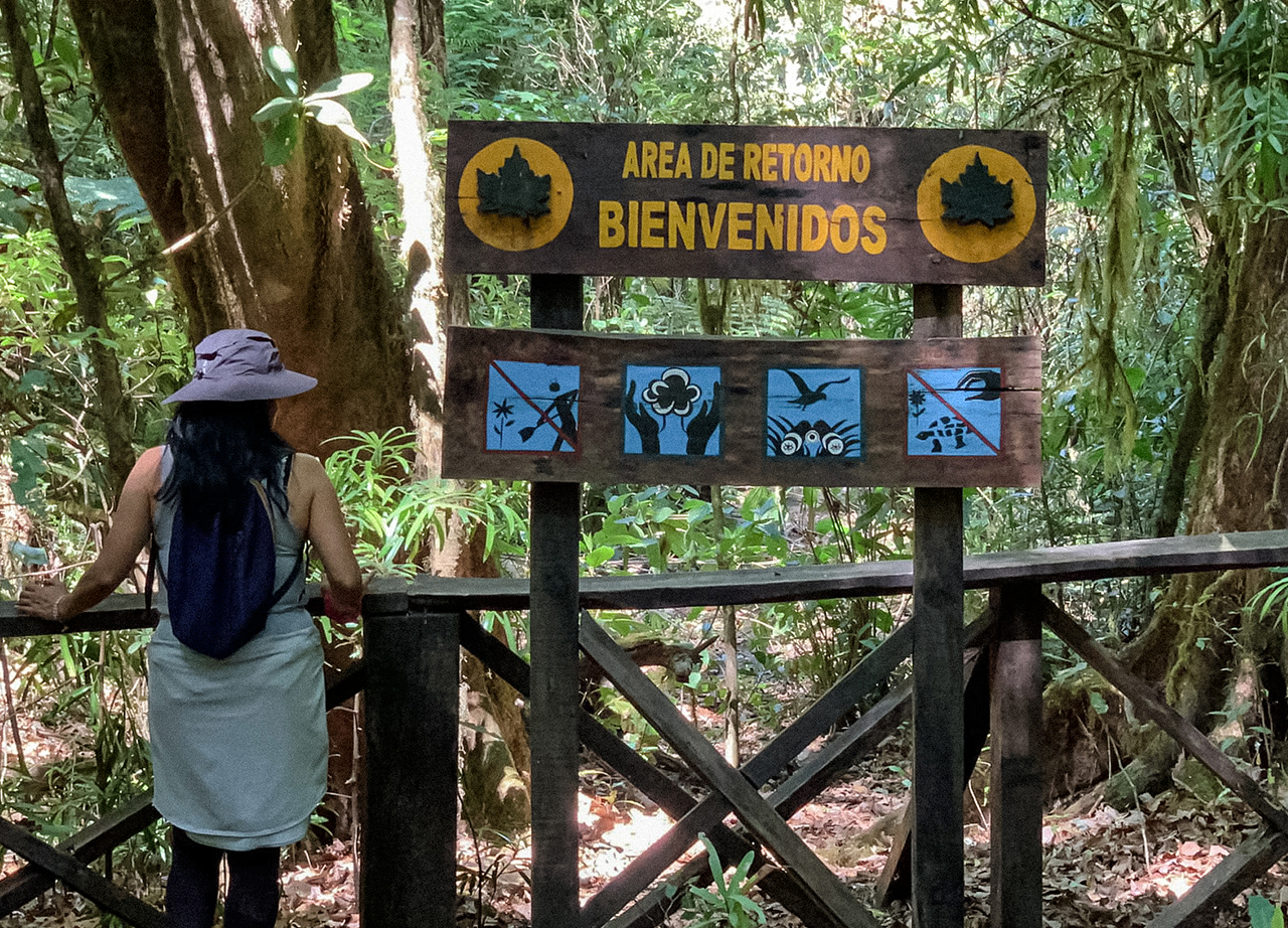 En México existen bosques de maple y los puedes visitar