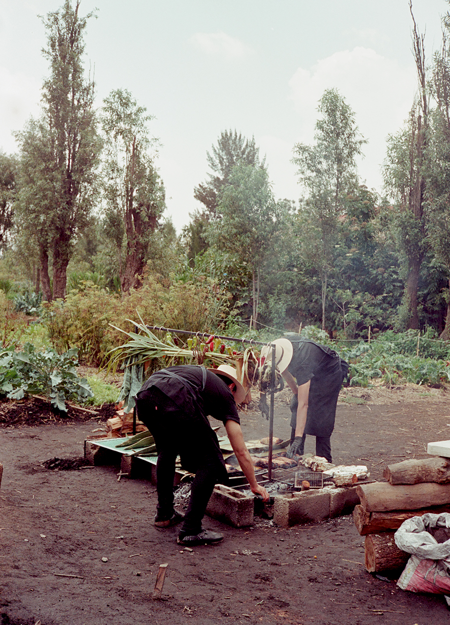 La importancia de las chinampas de Xochimilco está subestimada