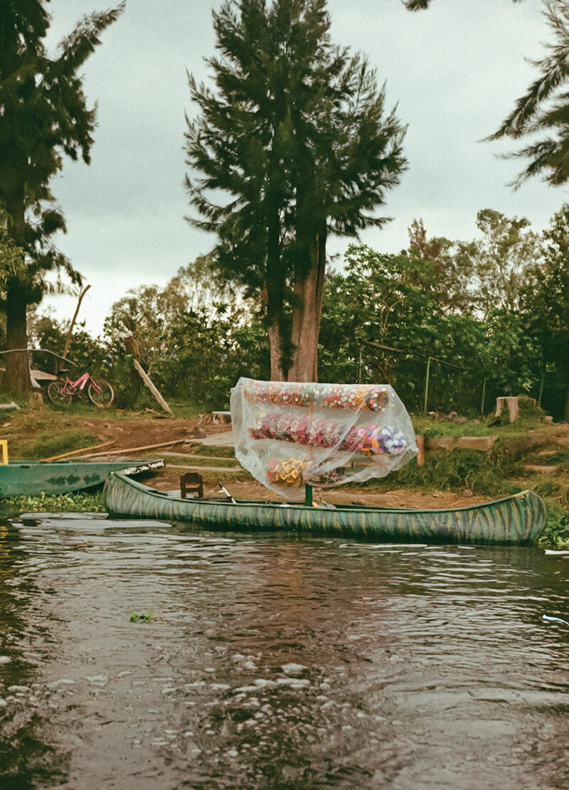 La importancia de las chinampas de Xochimilco está subestimada