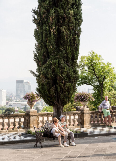 El Bosque de Chapultepec ayer y hoy: una historia de más de 100 años