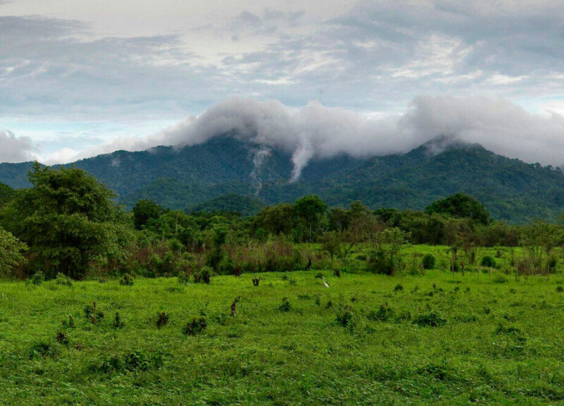 El Tapón de Darién o porque es imposible recorrer América en auto