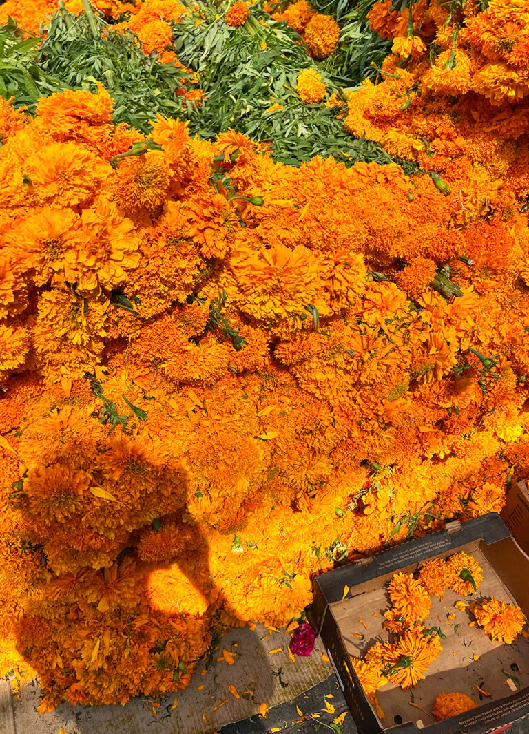 Conoce el significado de los elementos en un altar de muertos