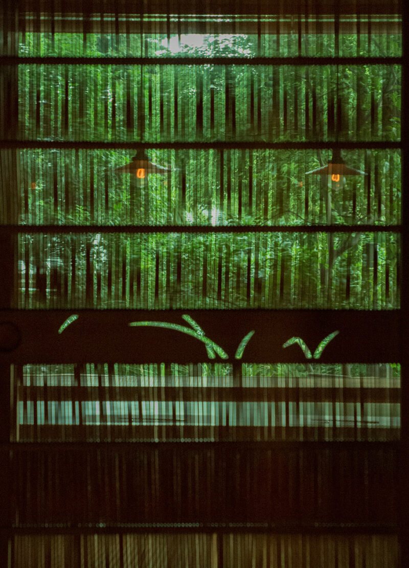 Shinrin-Yoku: la práctica japonesa de adentrarse en el bosque y reducir ...