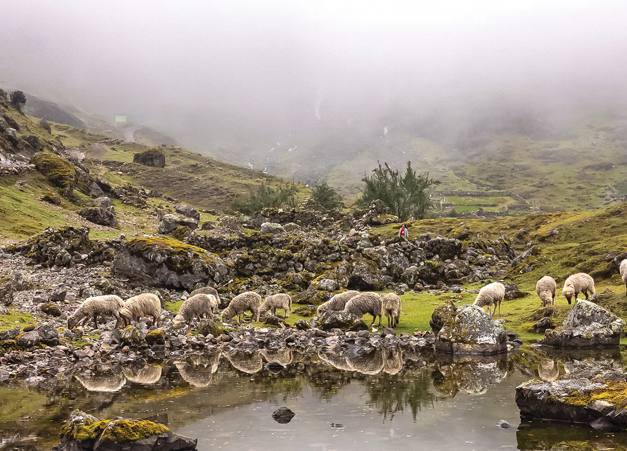 03-interna-rolex | Revista Travesías | Inspiración para viajeros