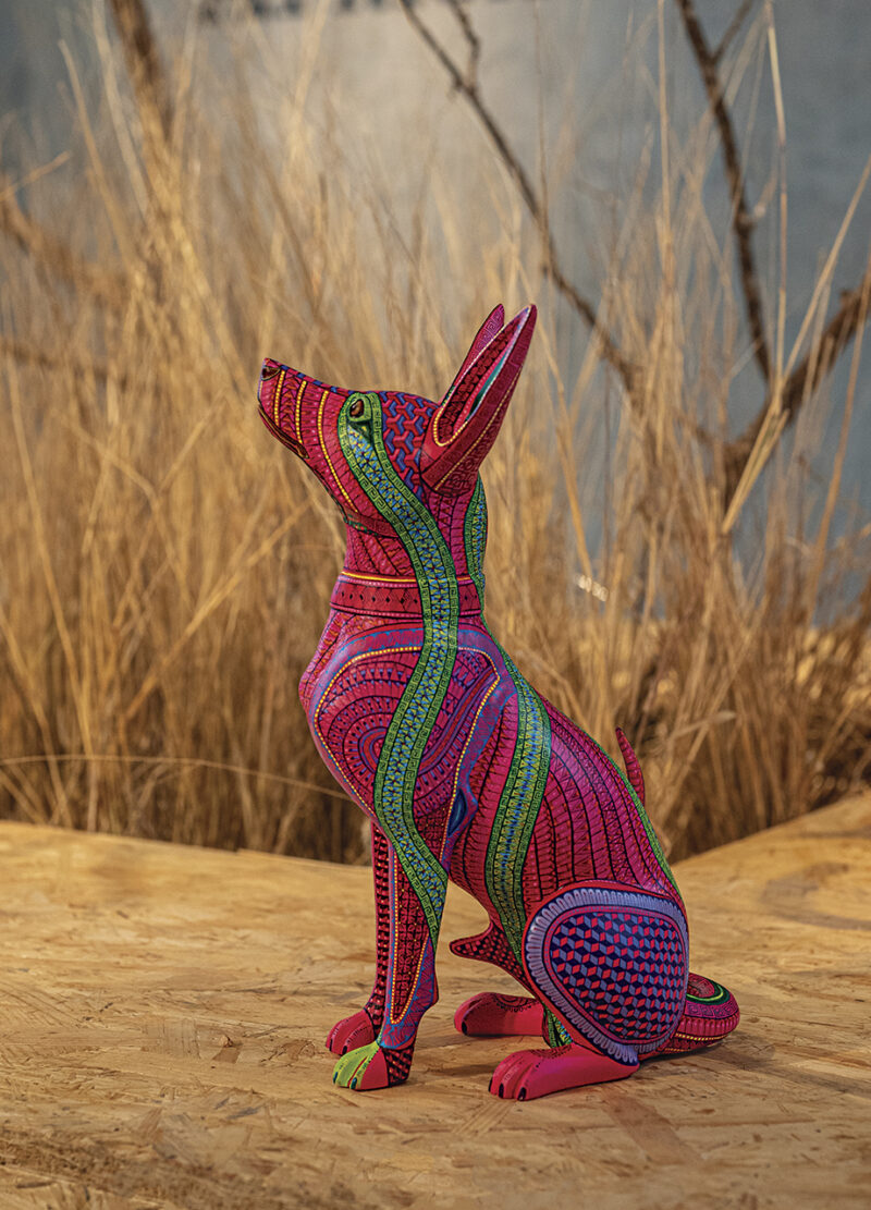 Oaxaca: color que se ve, se siente y, claro, también sabe