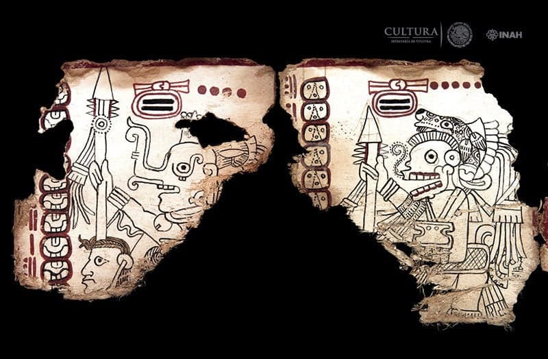 El Códice Maya más antiguo de América está en el Museo de Antropología
