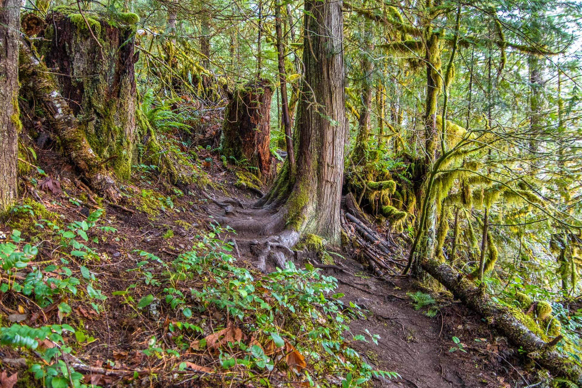 24 horas de naturaleza en Eugene, Oregón - Revista Travesías