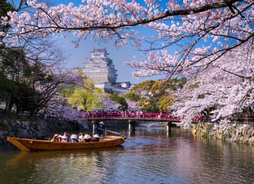 Together X: experiencias sensoriales que te llevan a Japón con IQOS ILUMA