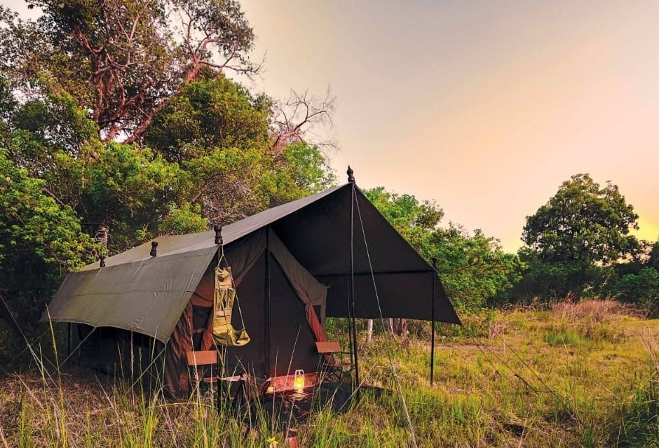 Safari nómada por Botswana